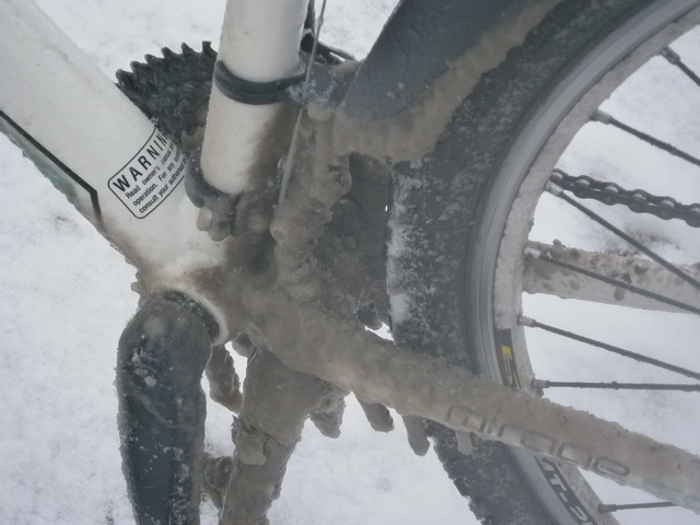 zoran031(Polar Mirage Comp) - Pimp My Bike - 2Bike.rs